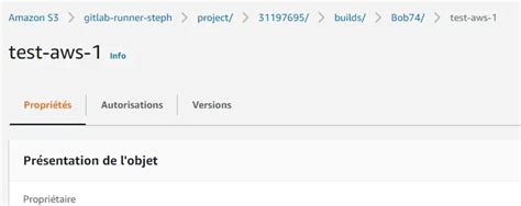 Auto Scaling De Runner Gitlab Cicd Sous Aws Devsecops