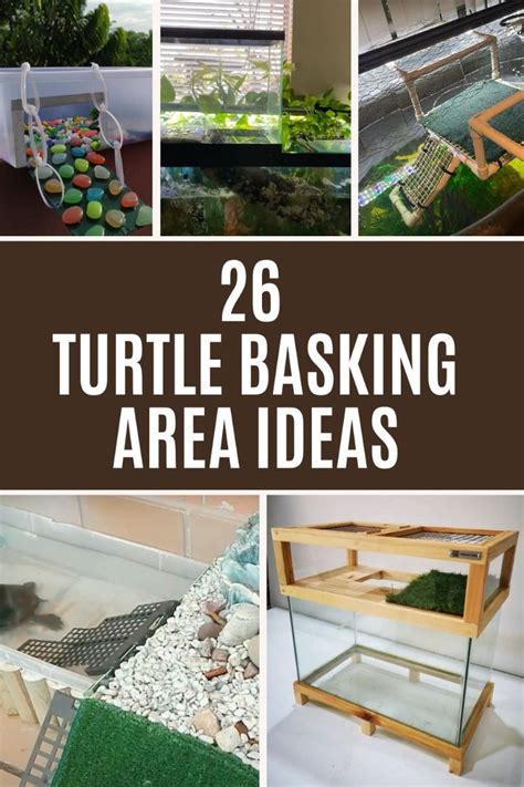 Diy Turtle Basking Platform For Large Tanks Turtle Basking Area Turtle Basking Platform