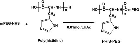 Ph Sensitive Polyhistidine Pegdspe Peg Co Polymer Micelles For