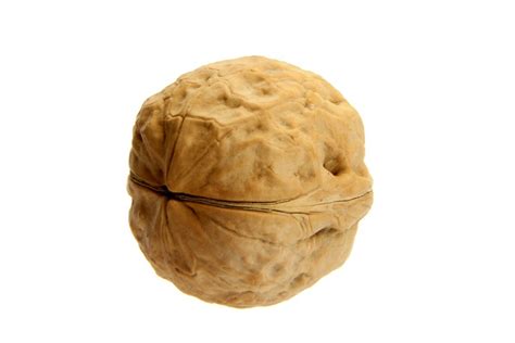 Crafts Using Walnut Shells ThriftyFun