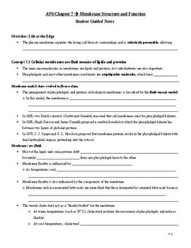 AP Biology Chapter Membrane Structure And Function By Chenec