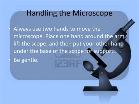 Microscope Parts And Functions PPTX Photography Arts And Crafts