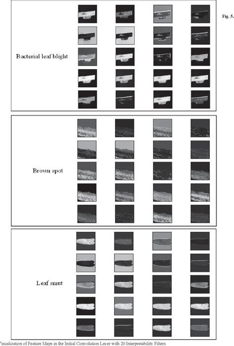 Figure 5 From Model For Effective Rice Disease Recognition Based On Deep Learning Techniques