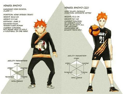 Hinata Shouyou 𝓚𝓪𝓻𝓪𝓼𝓾𝓷𝓸 𝓗𝓲𝓰𝓱 𝓢𝓬𝓱𝓸𝓸𝓵 Desain Pamflet Animasi 3d