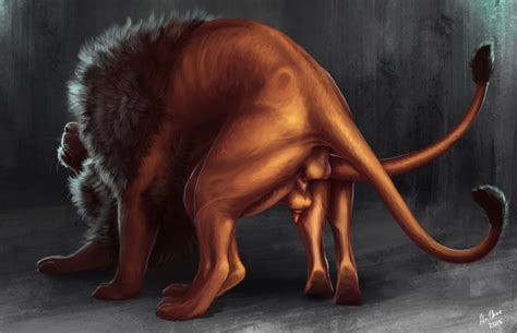 Rule 34 Anal Anatomically Correct Anchee Animal Genitalia Anus Balls