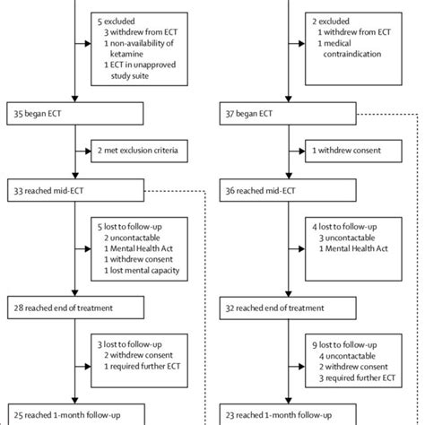 Figure Trial Profile Modified Intention To Treat Was Defined As All Download Scientific