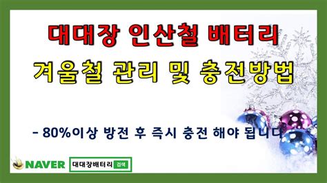 대대장 인산철 배터리 충전과 겨울철 주의사항 Youtube
