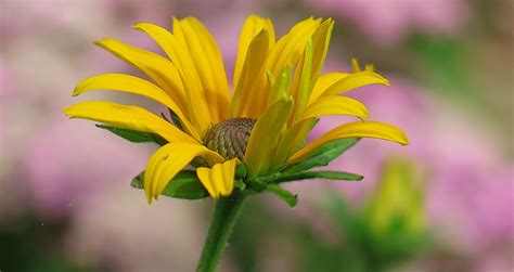 Untitled ☜ ☞ Bo ☜ ☞ Flickr