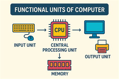 Different Functional Units Of Computer With Examples