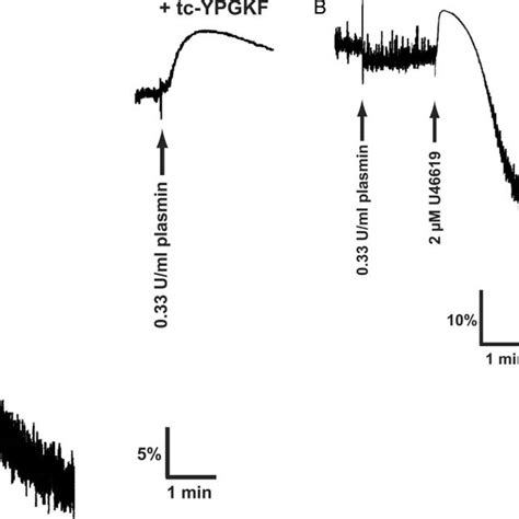 Effect Of Disrupted Par 4 Signaling On Plasmin Induced Mouse Platelet Download Scientific