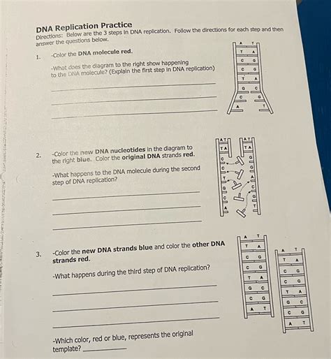 Solved: DNA Replication Practice Directions: Below are the 3 steps in ...