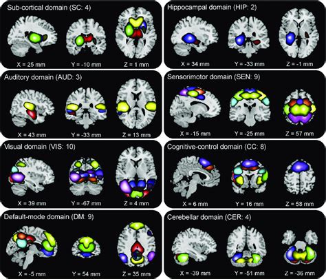 Spatial Maps Sms Of The 49 Identified Intrinsic Connectivity Networks Download Scientific