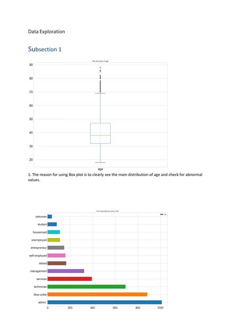 Data Preparation Report Pdf