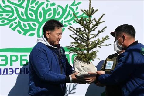 Andgai Mn Ерөнхийлөгчийн зарлигаас үүсэх 13 зүйл гэнэ 👍👍👍 1 Улсын хэмжээнд шинээр тарьж