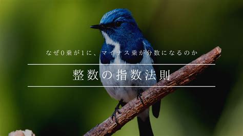 【三角関数の合成】やり方のコツと意味を徹底解説！複雑な三角関数の問題をラクにしよう！ 青春マスマティック