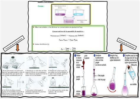 Dilution Et Protocol Experimental Pdf