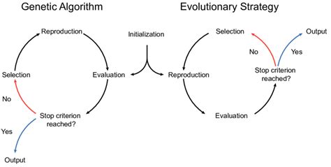2 Basic Optimization Cycle Of Genetic Algorithms And Evolutionary