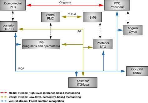 Revisiting The Functional Anatomy Of The Human Brain Toward A Meta Networking Theory Of