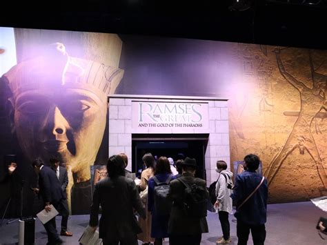 【金・土夜間開館】「ラムセス大王展 ファラオたちの黄金」東京・豊洲で26年1月4日まで 美術展ナビ