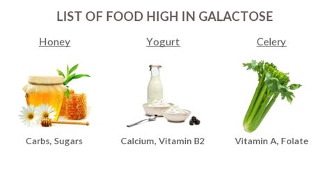 Galactose Rich Foods
