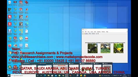Bird Species Classification Using Cnn Kaggle Dataset Cnn