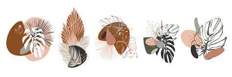 모양과 열대 잎 벡터 추상 조성물의 집합입니다 현대 미니멀 한 예술 선형 예술의 요소 세련된 트렌드 색상 직물 디자인 티셔츠