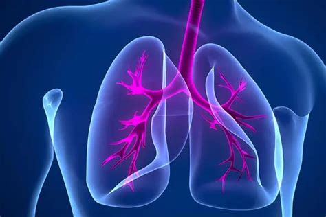 Doctor Discussion Guide Lung Nodules Nova Pulmonary Critical Care And Sleep Associates Llc