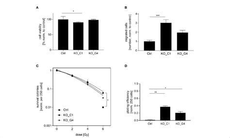 Influence Of Akt1 Knockout On Proliferation Migration And Radiation In Download Scientific