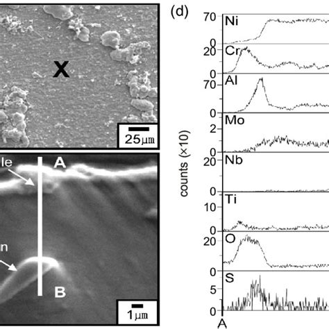 TiO Formed Primarily By The Outward Diffusion Of Interstitial Ti Download Scientific