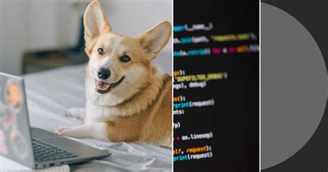 List Puthon Curated By Mc Medium