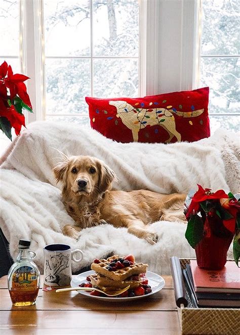 Aeshetic Christmas Dog Wallpapers - Wallpaper Cave