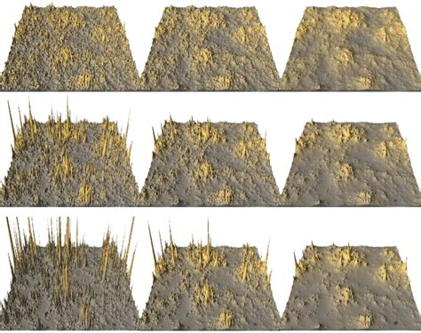 Isotropic Ie Self Similar Multifractal Simulations Showing The