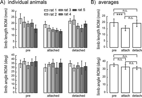 Changes In The Range Of Motion For The Global Limb Kinematics Measures Download Scientific