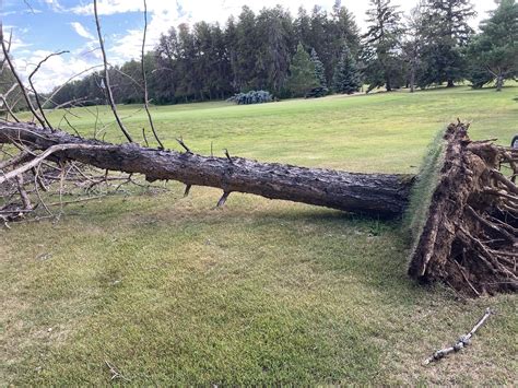 Nipawin Crews Keeping Busy Following Storm Clean Up Continues Northeastnow