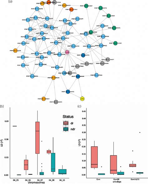 Ld Between Snps And Association With Lumefantrine Lum And Artemether Download Scientific