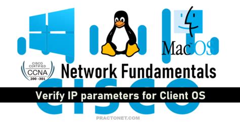 verify ip parameters for client os cyber security networking