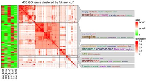 re analyze an aml proteomics dataset a bioinformagician