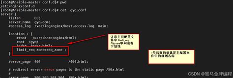 Nginx的访问限制与访问控制nginx限制ip访问频率 Csdn博客