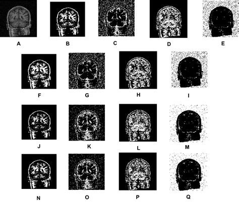 frontiers conditional spatial biased intuitionistic clustering