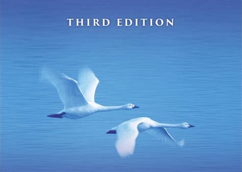 Python Programming Basics For Absolute Beginners