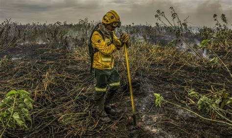 Pantanal Fab Lança 12 Mil Litros De água Por Voo Em Combate A Fogo