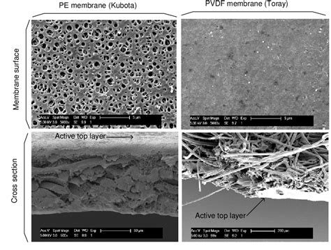 Figure 2 From Novel Magnetically Induced Membrane Vibration Mmv For