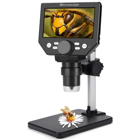 Which Microscope Has The Highest Magnification