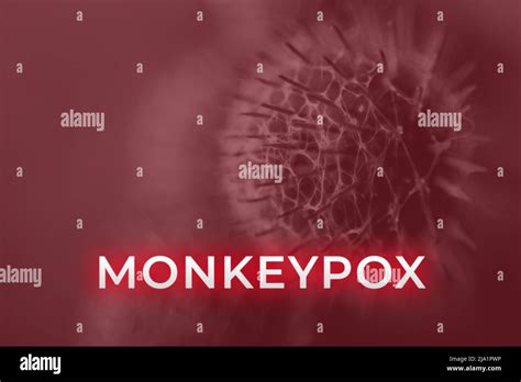 Monkeypox virus. Red background. Outbreak concept. Virus transmitted to humans from animals ...