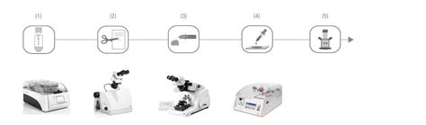 Em Tp Electron Microscope Tissue Processing Products Leica Microsystems