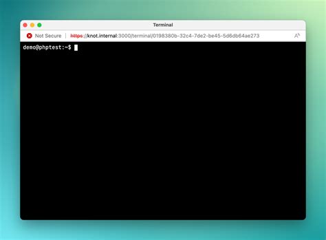 Web Based Terminal Knot