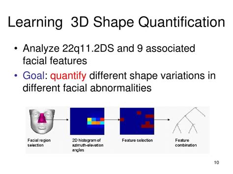 ppt 3d shape analysis for quantification classification and
