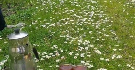 Böyle Kahvaltıların Tadı Neden Envai çeşit Olmasa Da Daha Lezzetli Oluyor Kizlarsoruyor