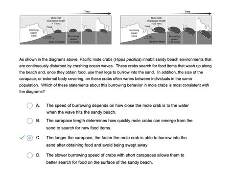 Ap® Bio Practice Tests Exams And Questions Frqs And Mcqs