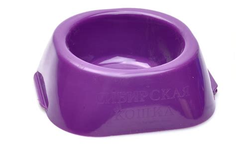 Сибирская кошка Миска для кошек